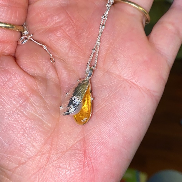 Little Mussel Pendant, Solid Silver Jewellery, Marine Life Jewellery ...