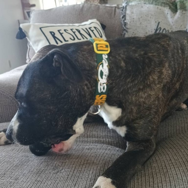 NFL Green Bay Packers Collar, Packers Dog Collar, Personalized Collar ...