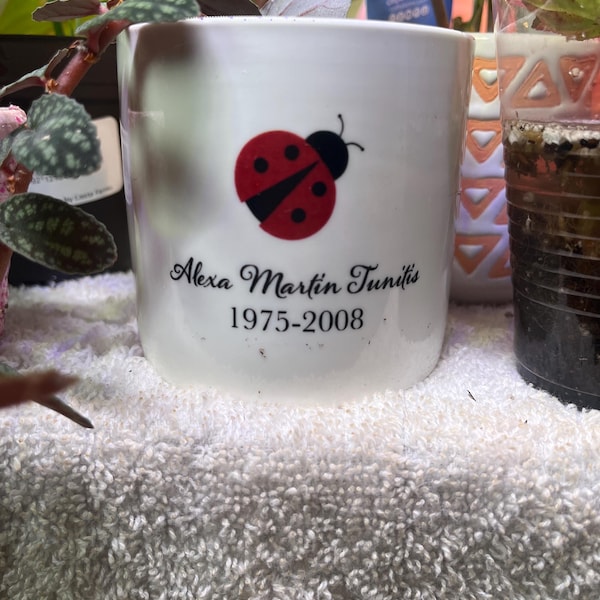 Personalized DNP Graduation Gift - 3" White Ceramic Pot W/ Live Plant - DNP Gift Doctor of ...