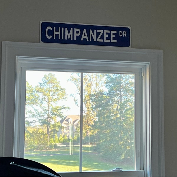 Chimpanzee, Chimpanzee Gift, Chimpanzee Sign, Chimpanzee Decor ...