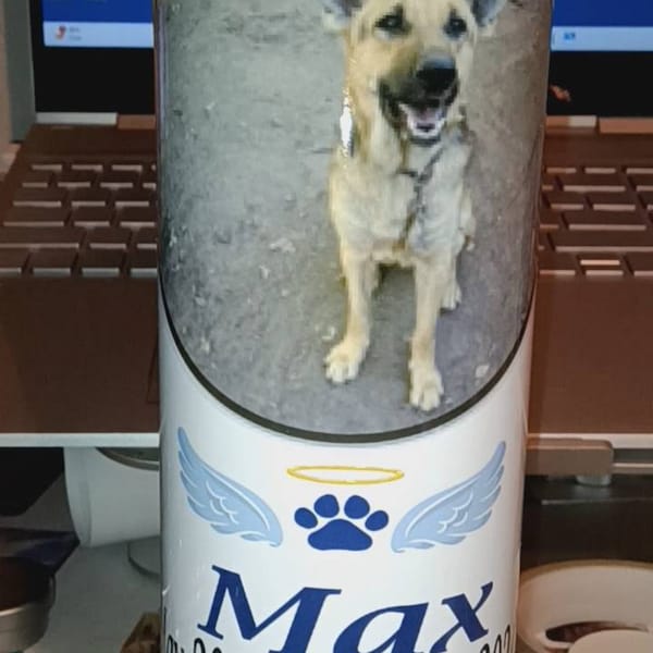 In Memory of Dogs Png, Pet Memorial Png, Dog Loss Png, Dog Memorial Png ...