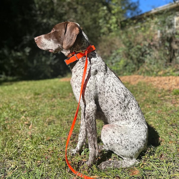 Funny Sayings Tag, Lightweight Tag, Funny Tag, Fun Dog Tag, Aluminum ...