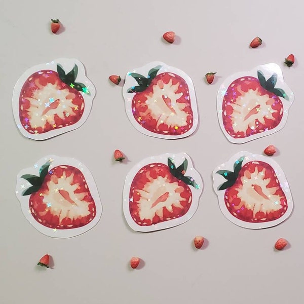 Summer Cat Sticker Bundle / Sticker Pack / Hydroflask Stickers / Vinyl ...