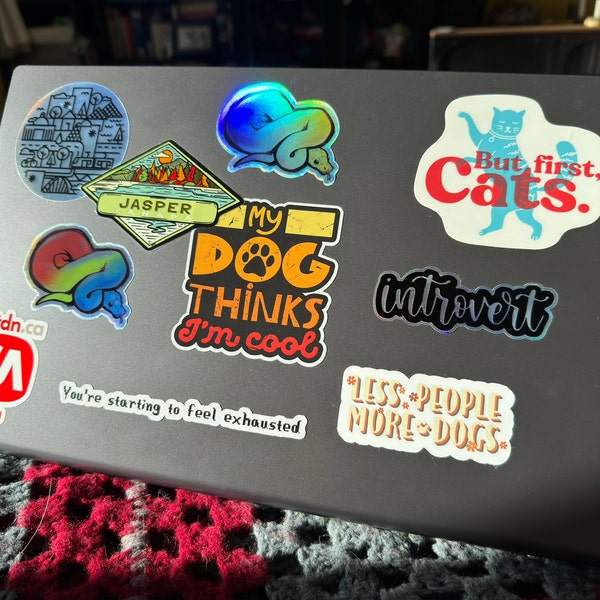 OSRS Sticker, Osrs Merch, Osrs Potion, Runescape Gift for Him ...