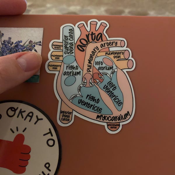 Set of 6 Sterile Processing Tech Stickers | Water Resistant Vinyl ...