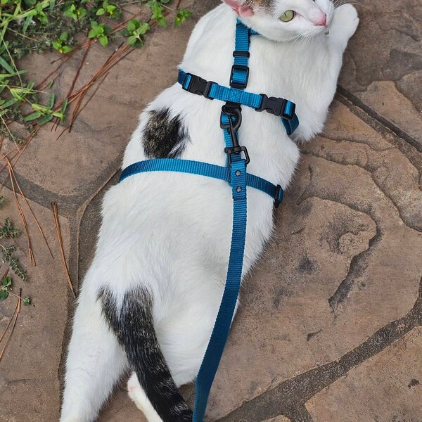 ESCAPE Proof CAT HARNESS, Adjustable Safety Adventure Cat Harness ...
