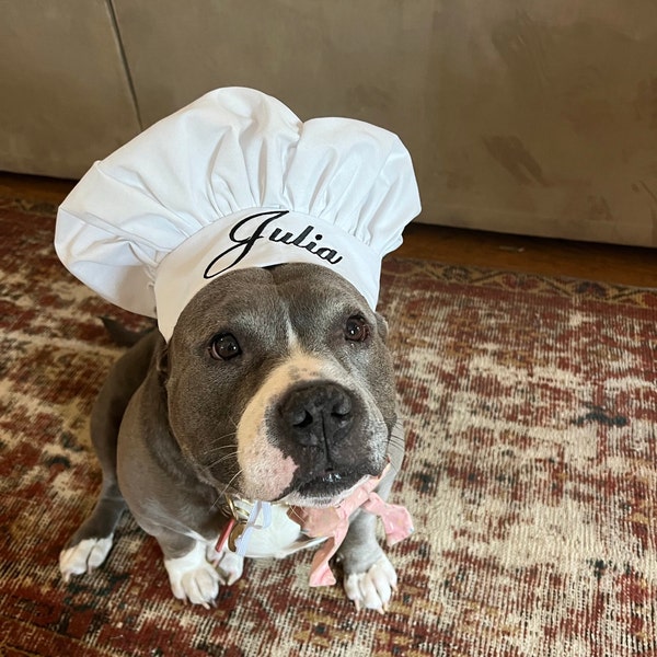 Chef Dog Costume Hat and Red Scarf - Etsy