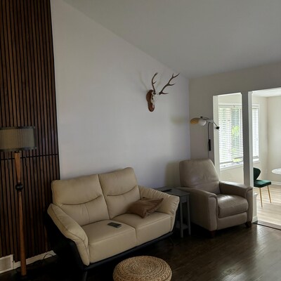 Taxidermy, a Pair, of X X Mating Stoat or Long-tailed Weasels Ermine ...