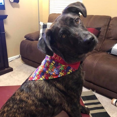 Personalized Autism Awareness Bandana Puzzle Dog Collar - Etsy