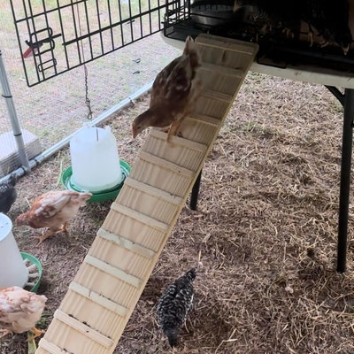 11 Inch WIDE Outdoor Chicken Coop Ramp 2-6 Feet Long Works - Etsy