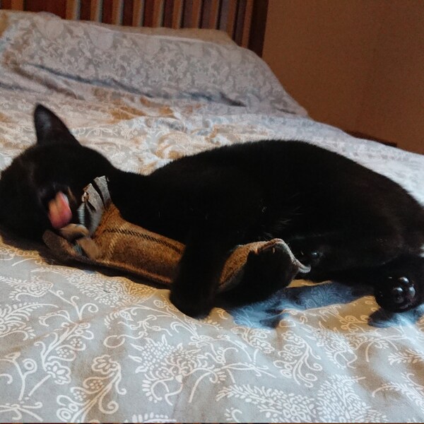 Large Tartan Catnip Kicker-kitty Kickers-handmade Tweed Cat Toy-catnip ...