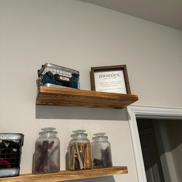 Zoomies Dog Sign | Wood Framed Zoomies Definition Dog Sign | Small or ...