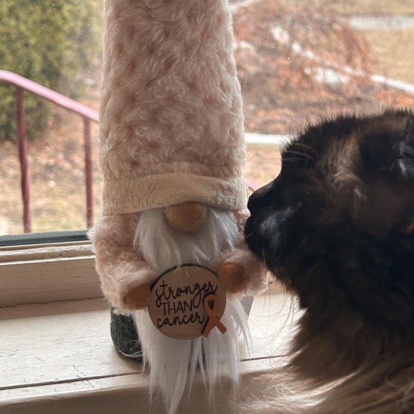 Memorial Gnome, Loss of Loved One Gift, Always With You Cardinal ...