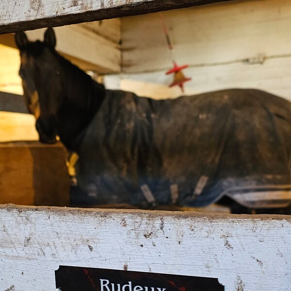 Engraved Name Plate Plaque Tag Personalized, 2x4, 2x6, 3x6, 14 Colors ...