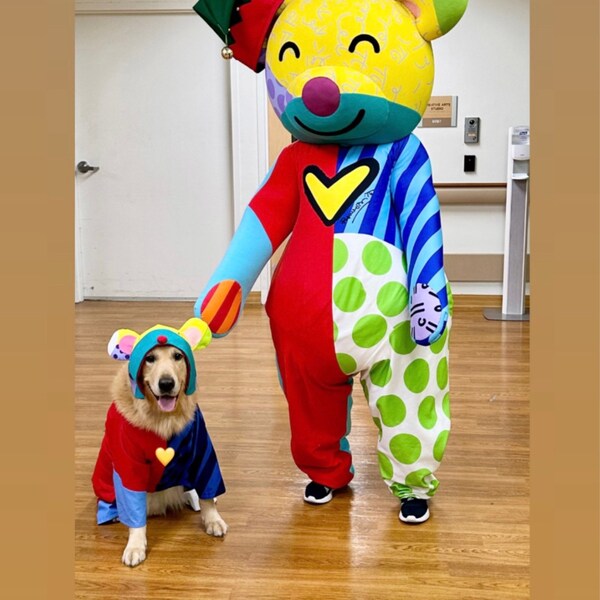 The Nun Dog Costume, Custom Order Request for DUCKY, Special Order the ...