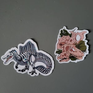 Holo Spinosaurus Skeleton Sticker Handmade Vinyl - Etsy