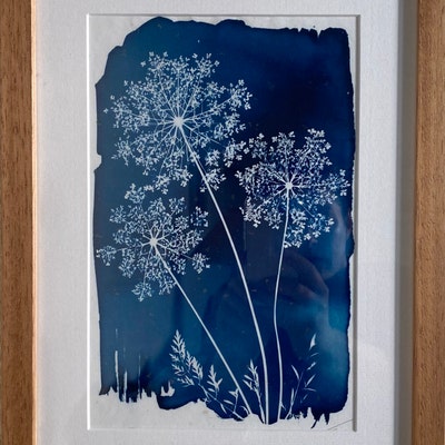 Pack of Eight Blank Greetings Cards With Reproductions of My Cyanotype ...