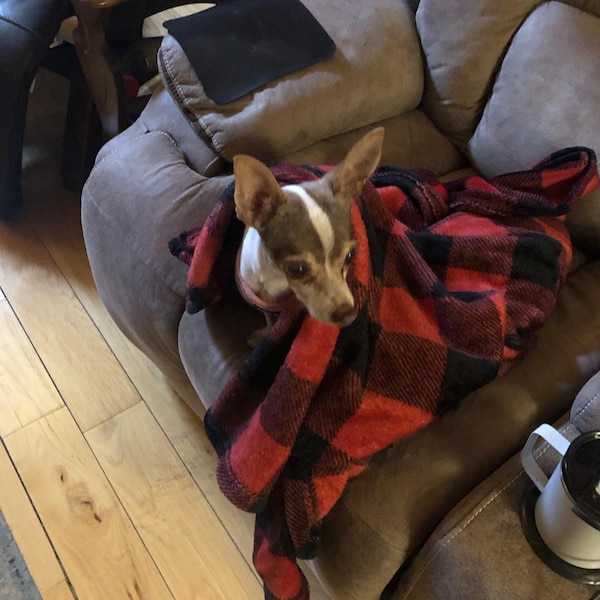 OFMD Pink Bird Velvet Banyan Fabric Kimono Cotton Velvet Robe Long ...