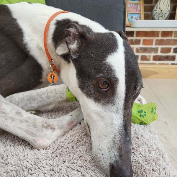 Greyhound Dog ID Tag for Greyhound Collar, Illustrated Dog Tags for ...