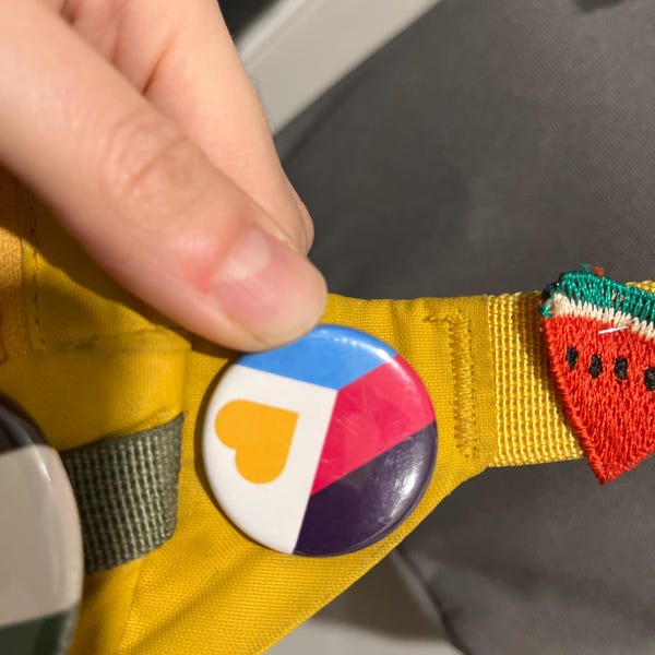 DIGITAL FILE: Printable Extended Pride Flag Reference Guide Includes ...