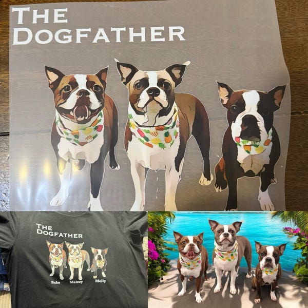 DTF Transfers, Direct to Film, Custom DTF Transfer, Sublimation ...