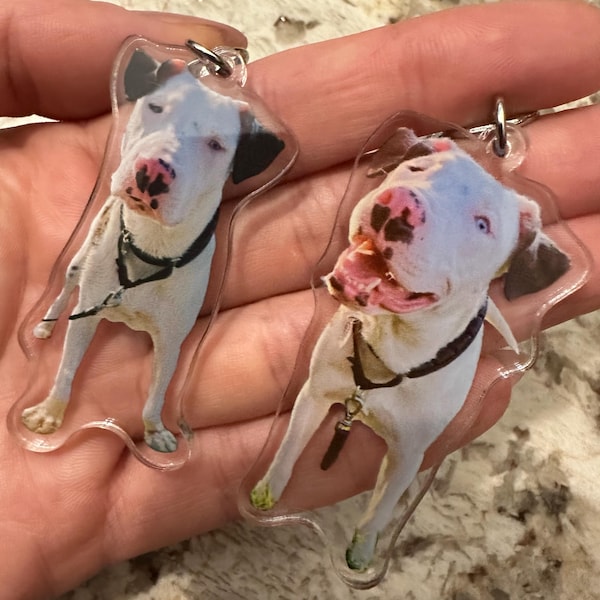 Custom Cat Keychain, Dog Keychain, Pet Keychain, Personalized Pet Photo ...