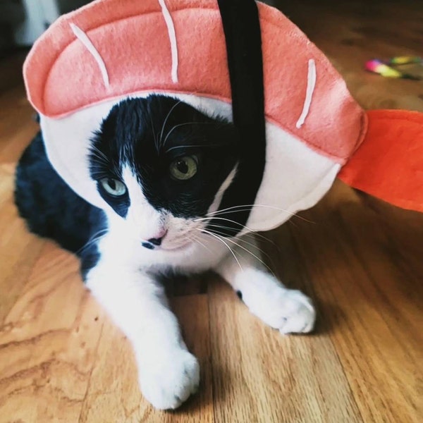 Sushi Sashimi Japanese Cuisine Pet Costume in Soft Lightweight Felt for ...