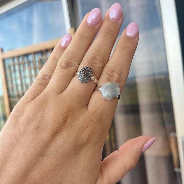 Hawaiian Shell Rings, Handmade Ocean Jewelry, Silver Rings, Gifts for ...