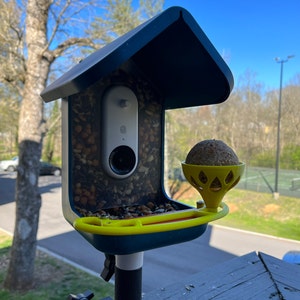 Deluxe Double Perch Add-on With Screw Mounts for Suet Ball & - Etsy