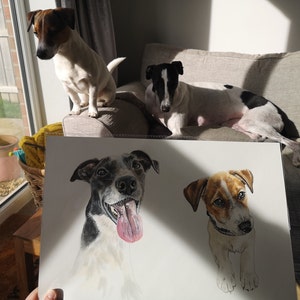 Custom dog Portrait Pet Portrait Pet Portraits Watercolour | Etsy