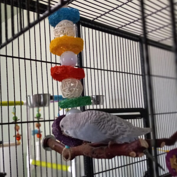 Pack of 3 Colorful Chain Links Textured Bird Foot Toy Bird Toy Small ...