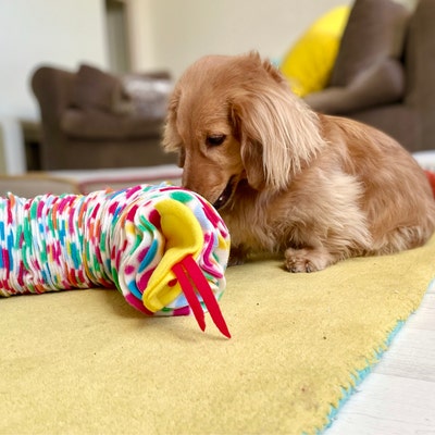 The Metre Long Snuffle Snake A Long Lasting Slow Feeder Dog Enrichment ...