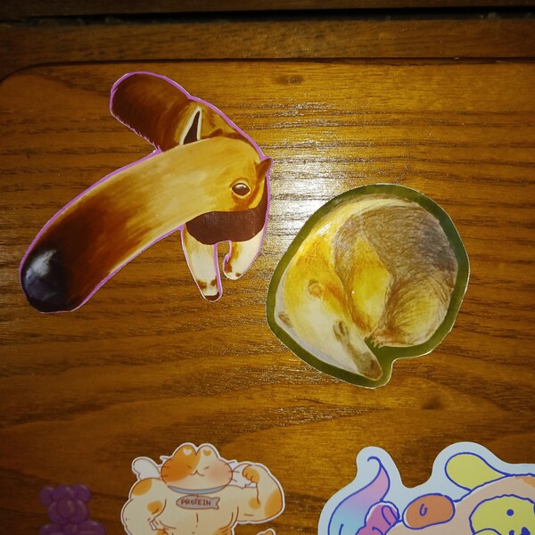 Anteater Sticker, Big Nose Edition! - Etsy