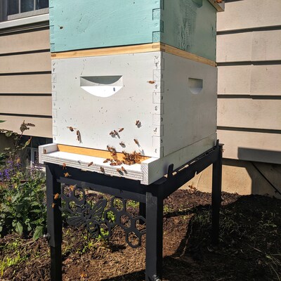 Beehive Frame Inspection Rack rack Only Fits the Beest Hive - Etsy