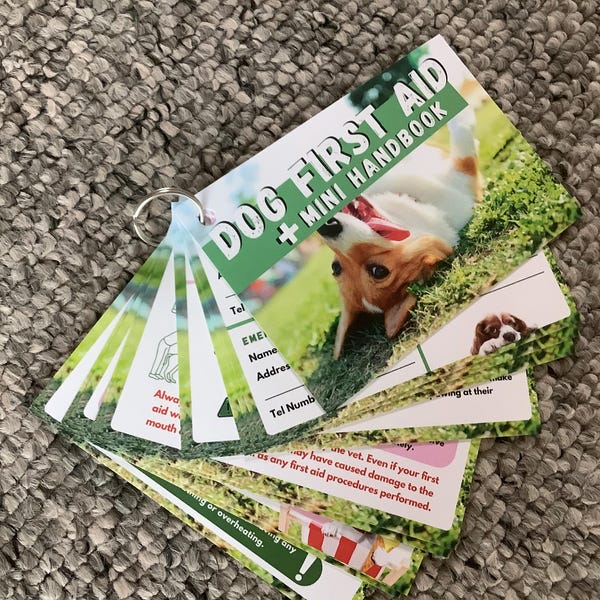 FIRST AID GAMES | True/false Questions | Instant Download and Print at ...