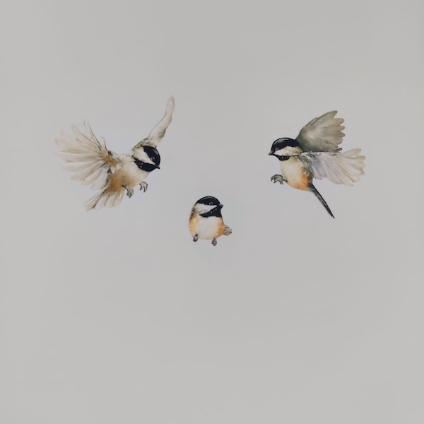 Flying Chickadee, Fabric Decal, Wall Decal Bird, Black-capped Chickadee ...