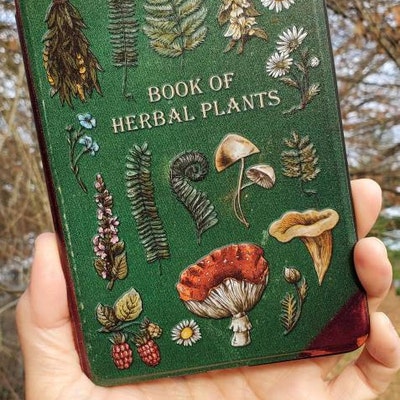 Kawaii Capybara Art Kindle Paperwhite 4 Cute Animal Case Kindle Custom ...