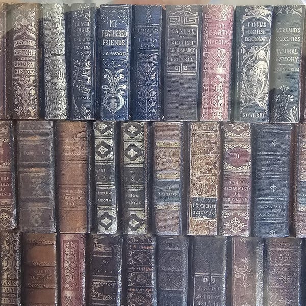 Mini Book Set - Etsy
