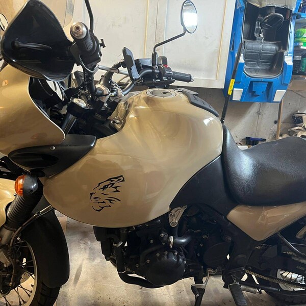 Knight Head Mascot - Vinyl Decal Sticker for Wall, Car, Bike, Iphone ...