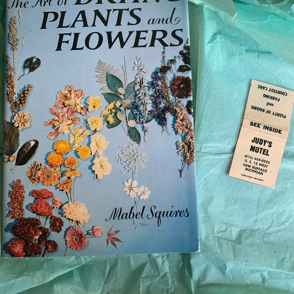 Vintage Fiestaware Rose Cream and Sugar Set (no Lid), Vintage ...