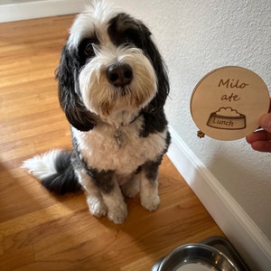 Custom Pet Task Reminder Engraved Slide Dog Feeding Wall Sign Rustic ...