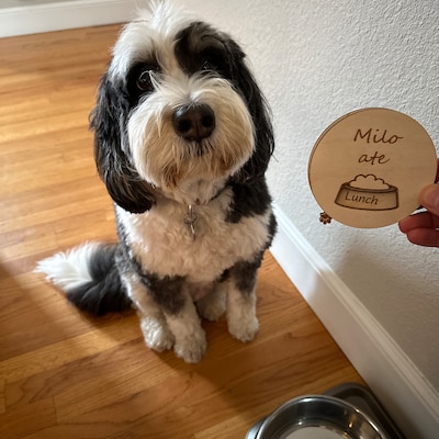 Custom Pet Task Reminder Engraved Slide Dog Feeding Wall Sign Rustic ...