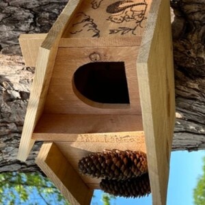 Squirrel House/nesting Box - Etsy