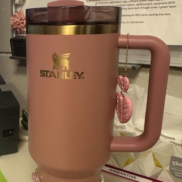 Loveshack Ribbon Rosa Stanley Straw Bow Pink and Gold - Etsy