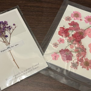 Wine Red Carnation Pressed Flowers Stems,6 Pcs/pack,pressed Dried ...