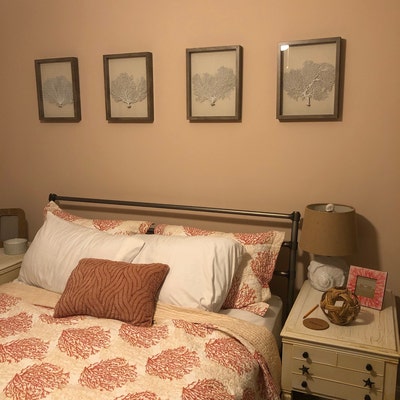 Set of 2 Framed Sea Fans, White Sea Fans, Sea Fan Art, Sea Fan Decor ...