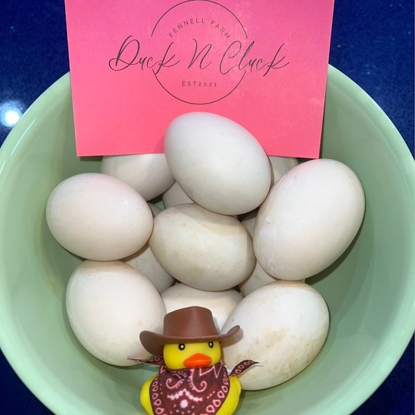 1/2 DZ XXL JUMBO Size Duck Eggs! Eggs-ellent for Next Level Dishes and ...