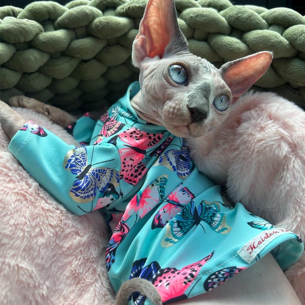 Snuggle Bed, Cat Sleep Sack, Sleeping Bag, Pet Sleeping Bag, Pet ...