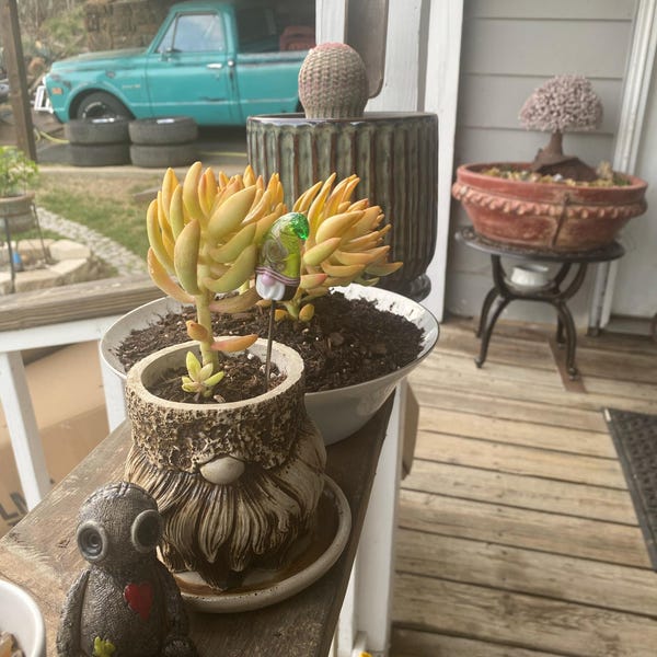 Horror Movie Planter Pots Concrete, Indoor or Outdoor - Etsy