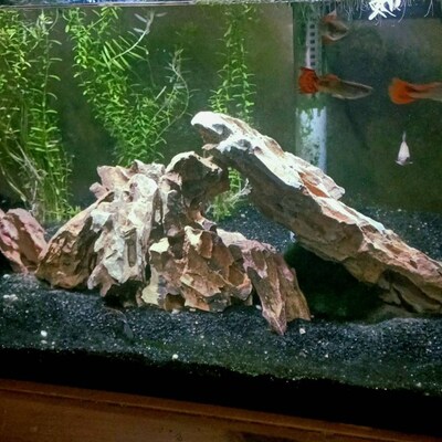 Aquascape Decor SOUL CANYON Aquarium Dragon Rocks Nature for - Etsy